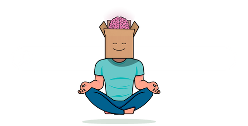 The Box Factory | FAQ | What is PAP 20?