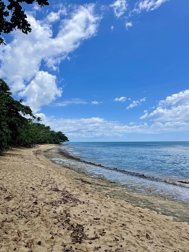 Explore Your Safety: Is Puerto Rico Safe Right Now Tips | U30X