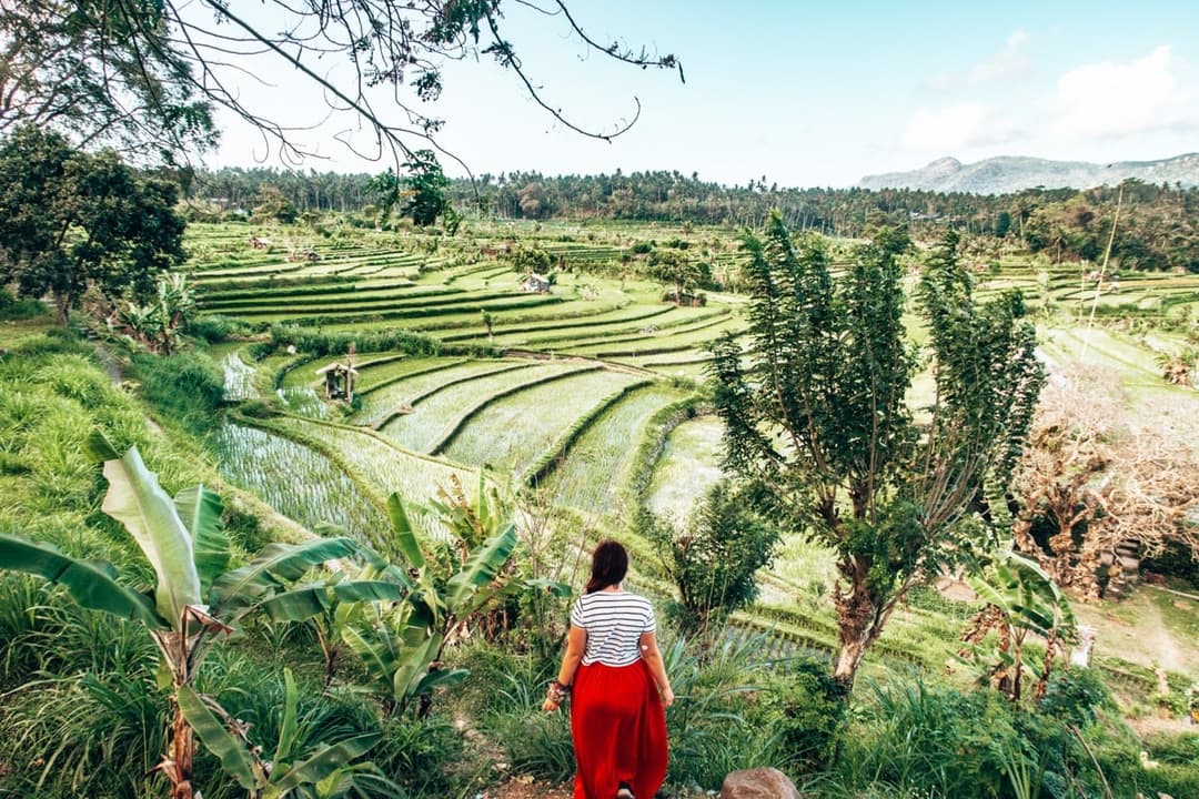 25 Best Places To Visit In Bali [Complete 2024 Travel Guide!]
