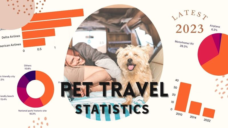 55+ Pet Travel Statistics (Up-To-Date 2023 Figures)