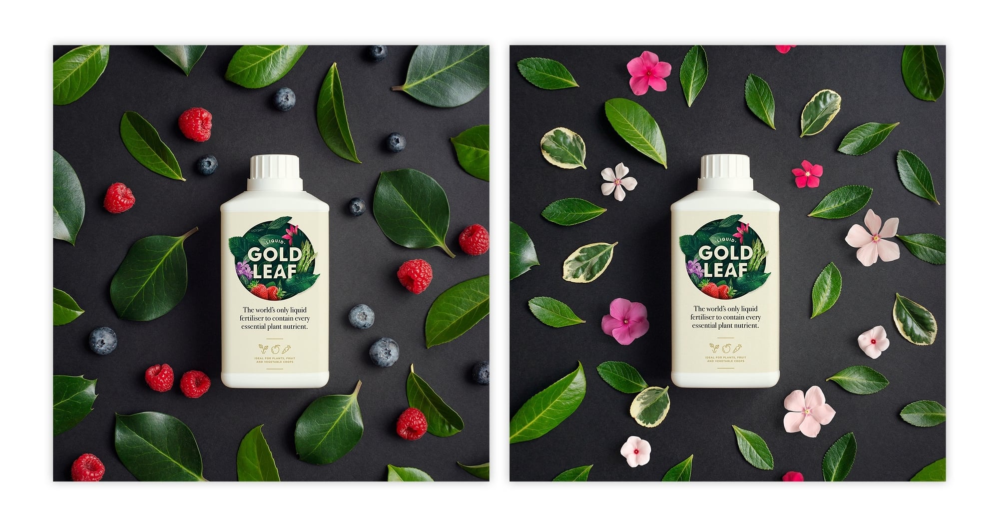 Gold Leaf Branding Case Study | Q+H London