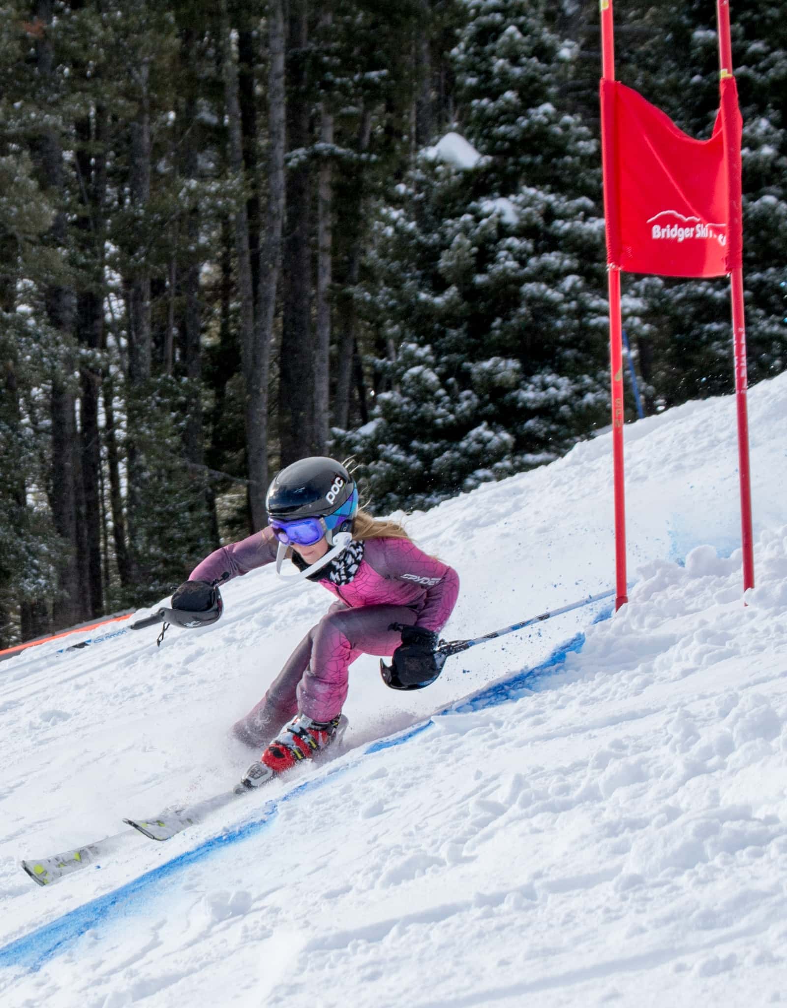 BSF Alpine + Freestyle Club Team