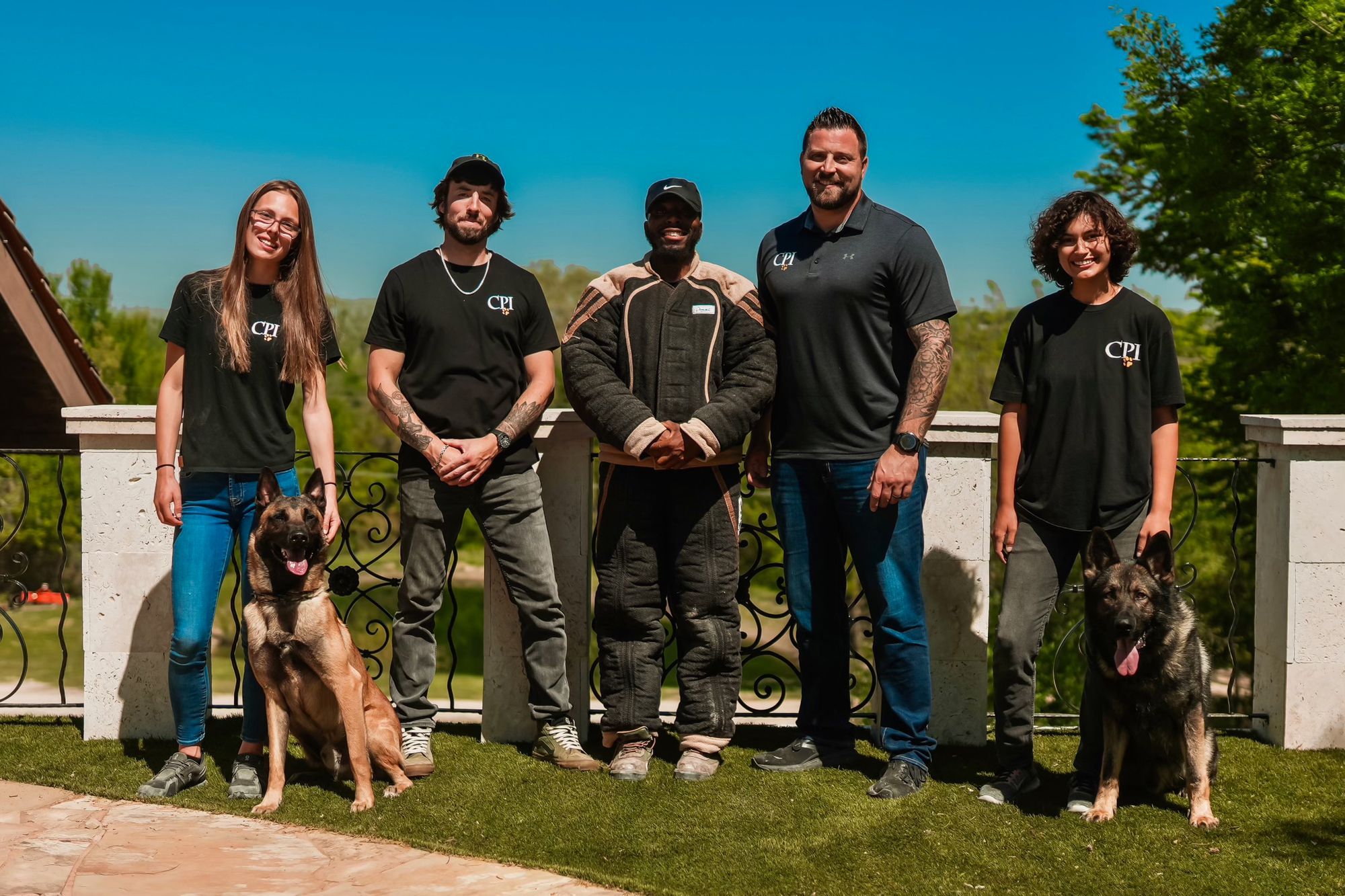 Elite Personal Protection Dogs for Sale in Los Angeles | CPI-Training ...