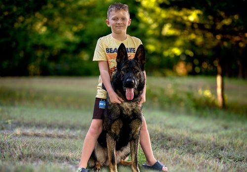 Personal Security Dogs | Trained Protection Guard Dogs for Sale - CPI