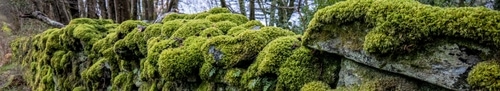 The community website hub for Appin