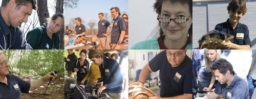 Wildlife Vets International - Vets Saving Endangered Animals in the Wild