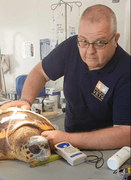 Wildlife Vets International - Vets Saving Endangered Animals in the Wild