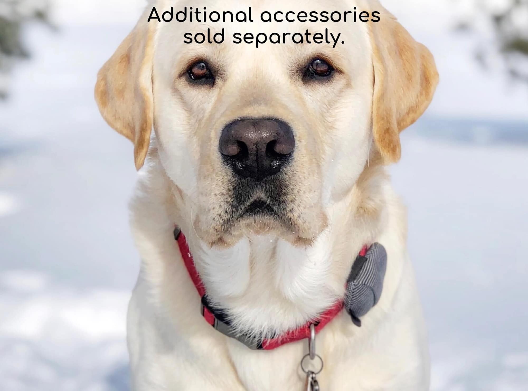 Product - Jiobit & Care.com