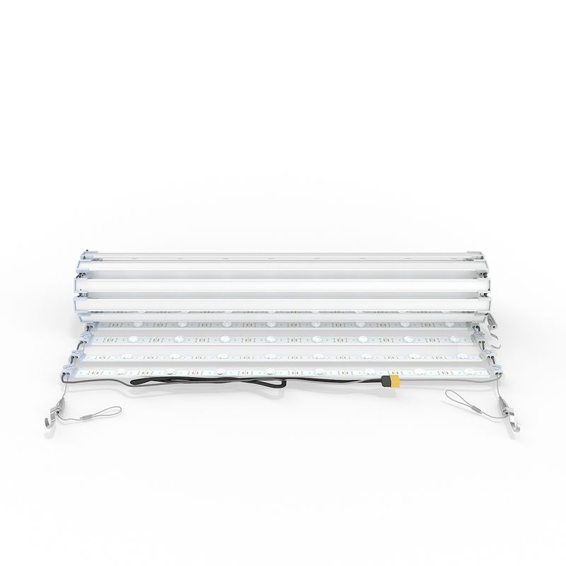 Wavelight 10ft Backlit Panel | Trade Show Booth Display | MODdisplays