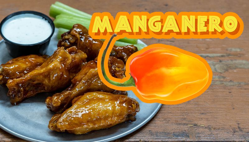 Pluckers Wing Bar Menu - Wings, Burgers, Sandwiches