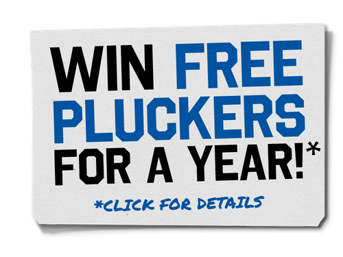 Pluckers Wing Bar