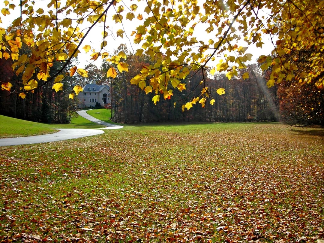 Plusen Landscape Architects - Projects - Stuart Hill Master Plan