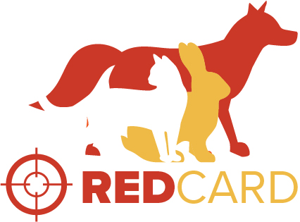 Red Card