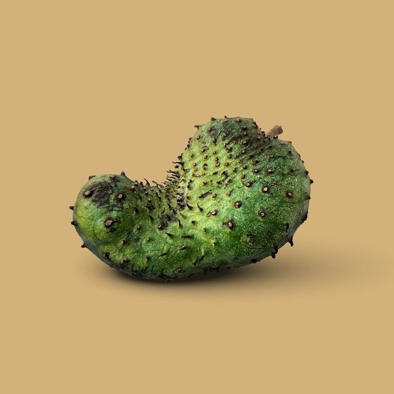 Isaac N.C. • I design cool apps & brands, and I love fruit.