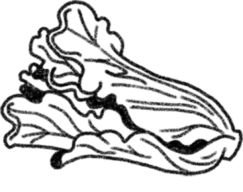 70+ Great User Testing Questions To Ask Before, During, & After User ...