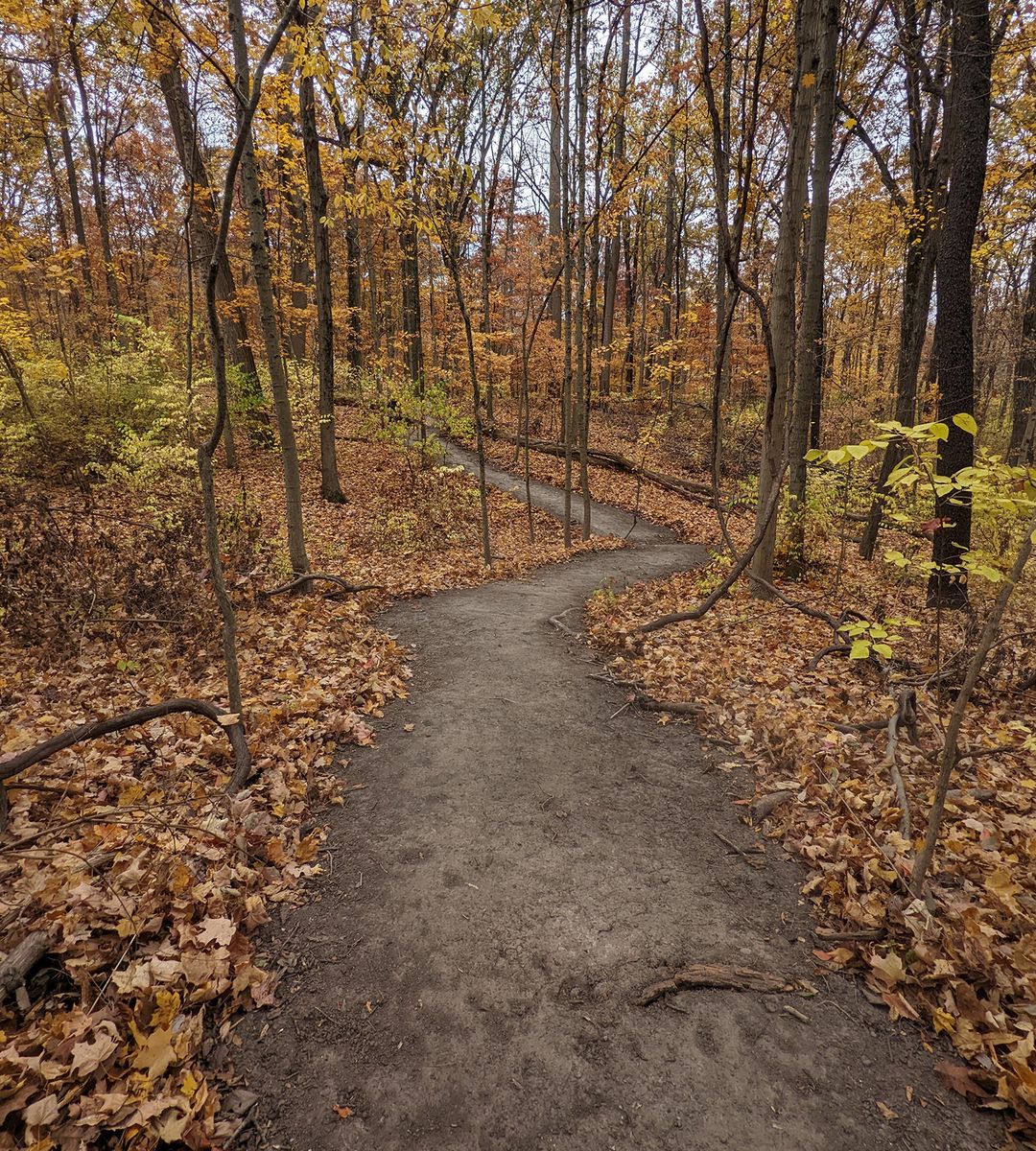 Trails