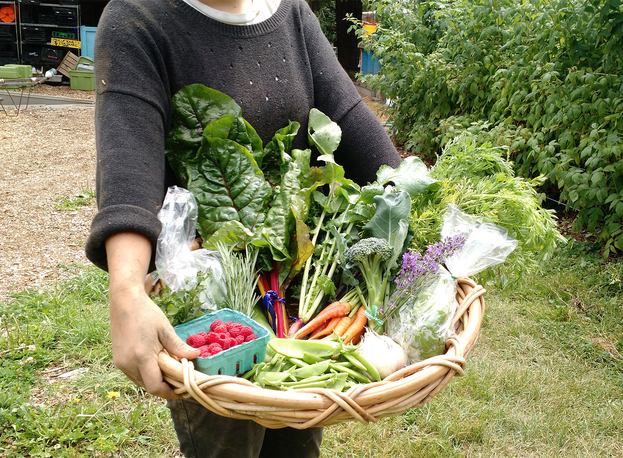 GRuB | Growing Healthy Food, People, and Communities