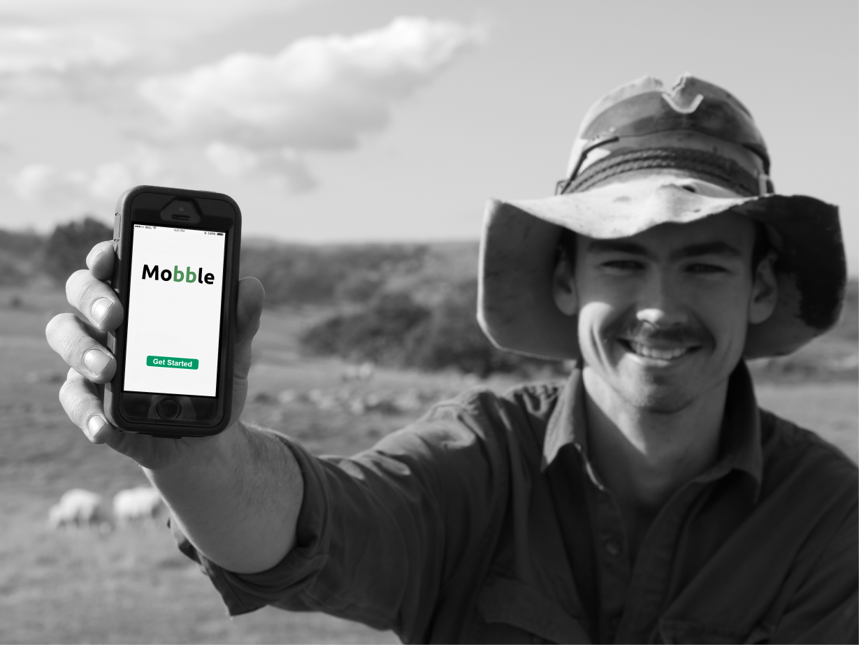 Mobble Integrations-new