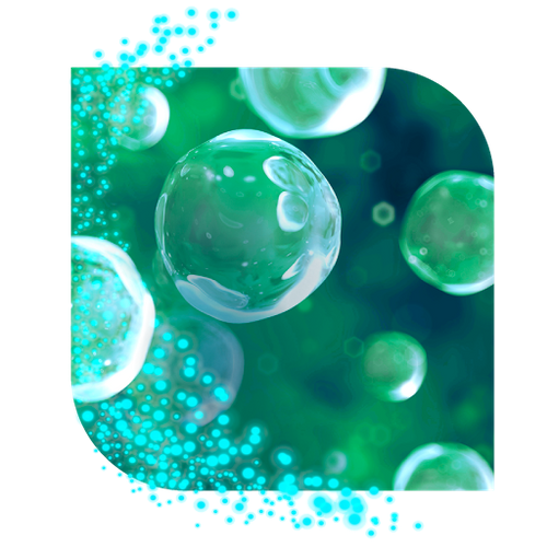 Home [www.terramera.com]