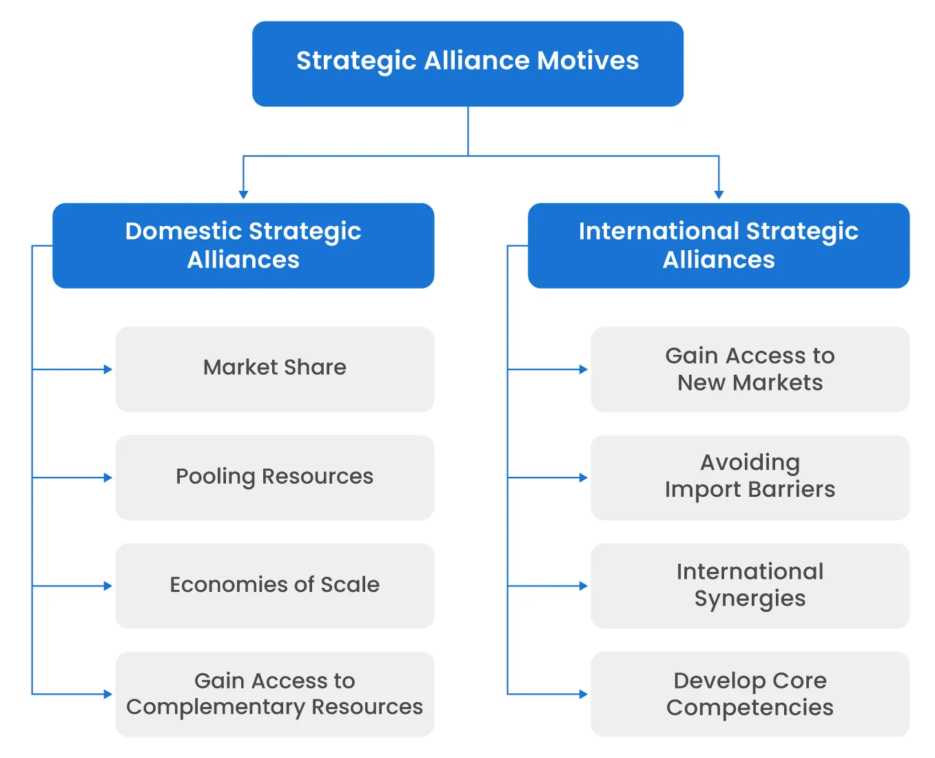 Strategic Alliance Definition Motives Types Example 