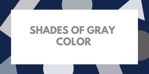 Shades Of Gray Color: +50 Gray Colors with Hex Codes