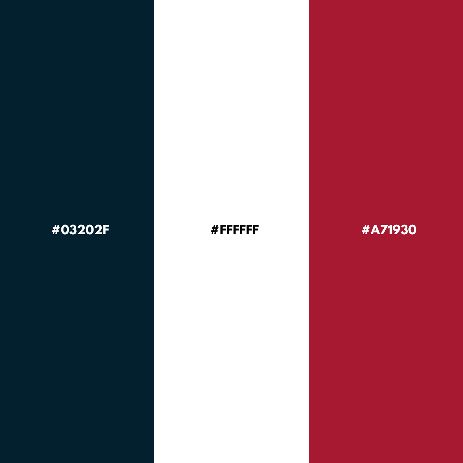 Houston Texans Color Codes