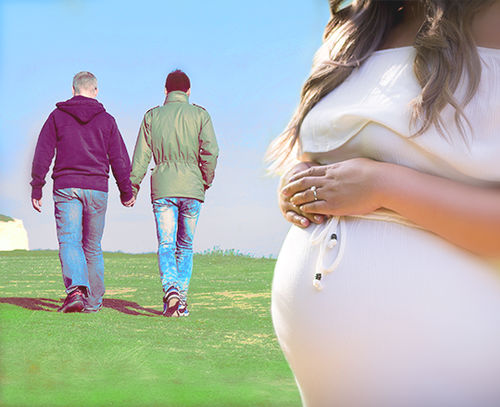 Family Health Law - Lisa Feldstein Law Office