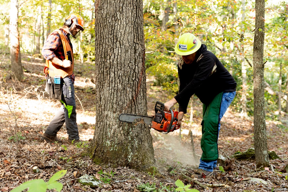 Heaven Hill Distillery Launches Logger Certification Program in ...