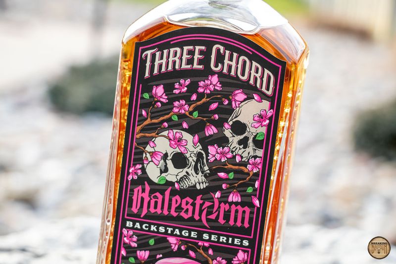 Three Chord Backstage Series: Halestorm Review | Breaking Bourbon