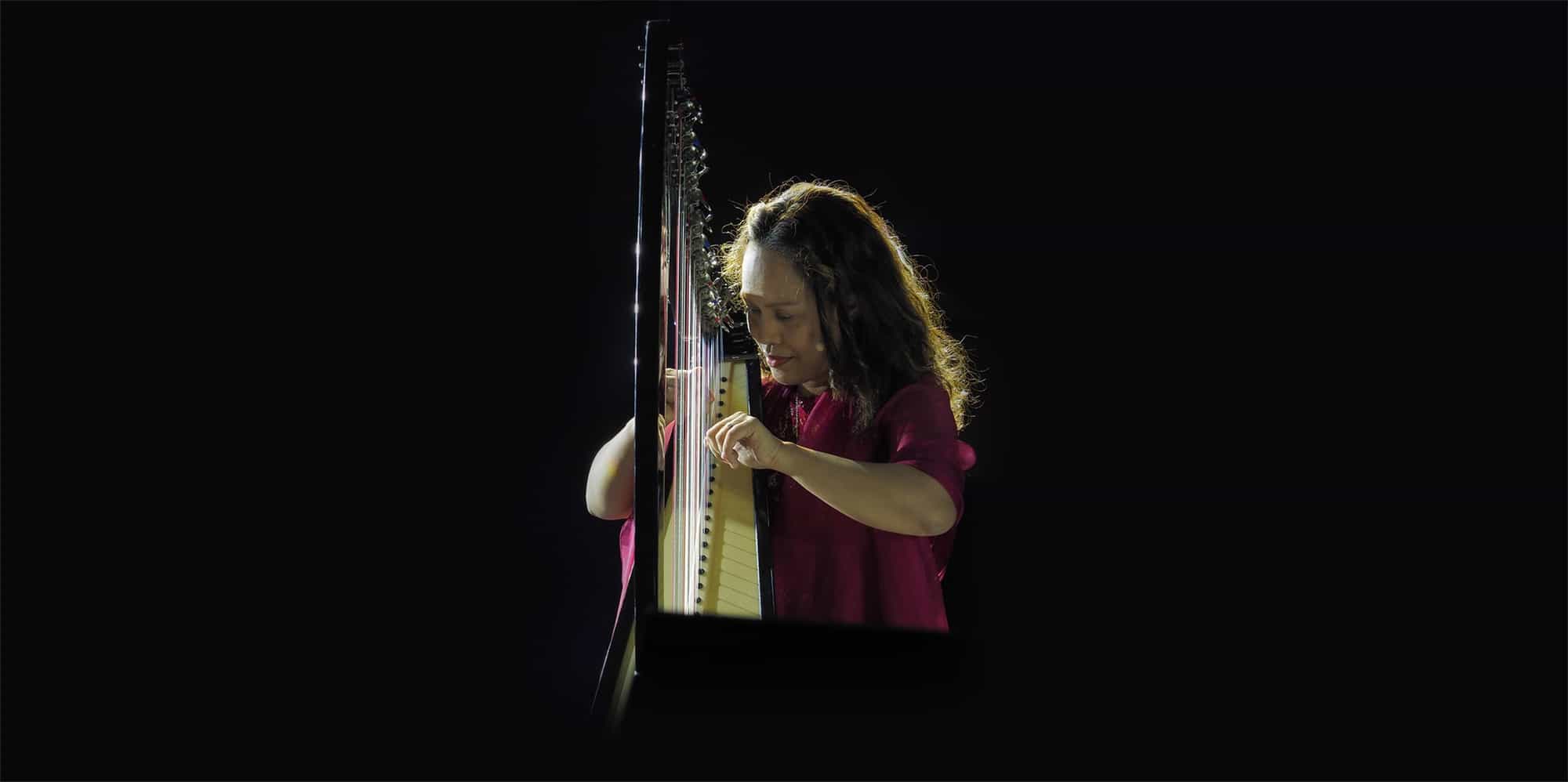 HarpRoom | Make the harp your instrument!