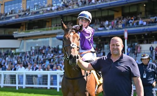 Home | Jamie Osborne - Bespoke Racehorse Trainer
