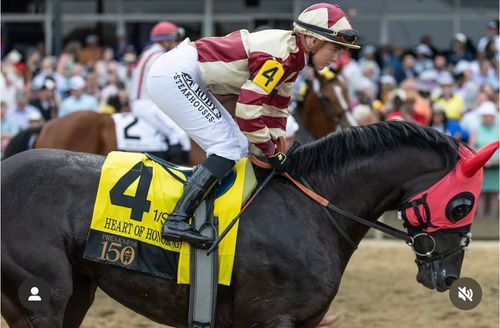 Home | Jamie Osborne - Bespoke Racehorse Trainer