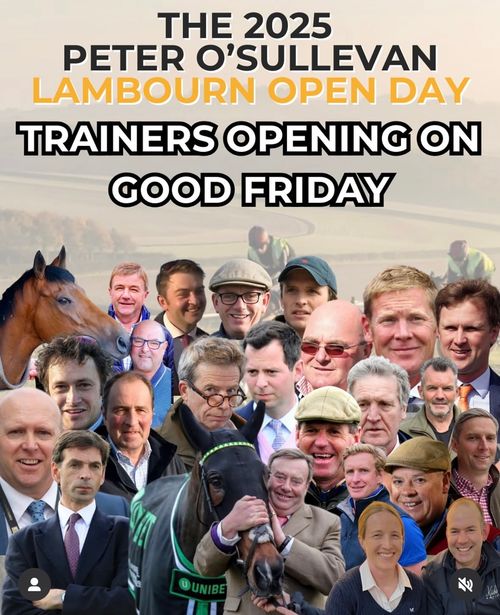 Home | Jamie Osborne - Bespoke Racehorse Trainer