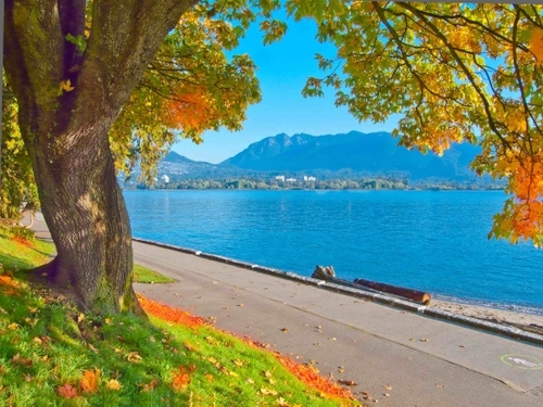 West Coast Property Management | Professional Strata Management