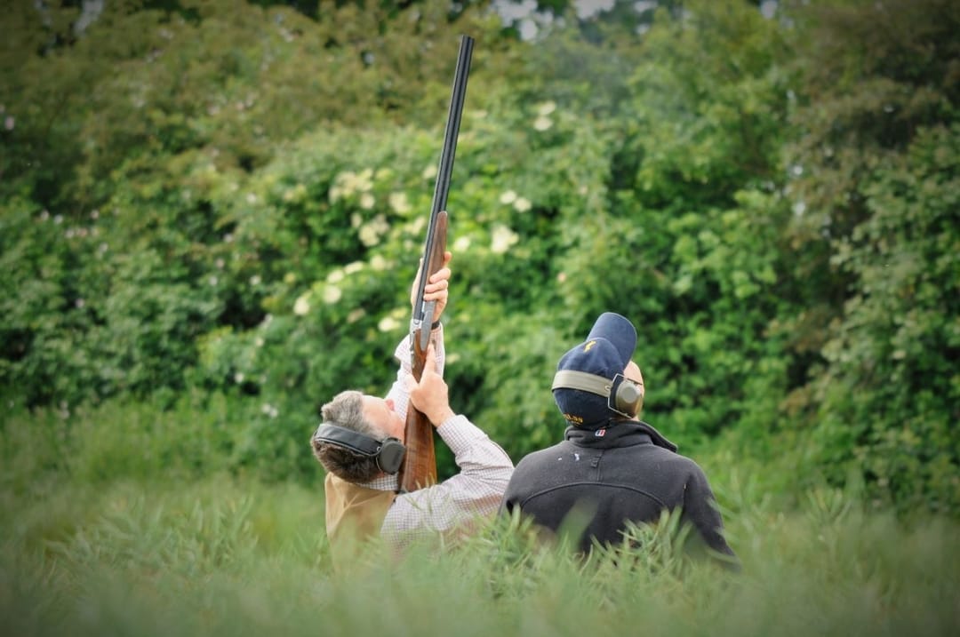 The Ultimate Guide to British Game Birds: | DB