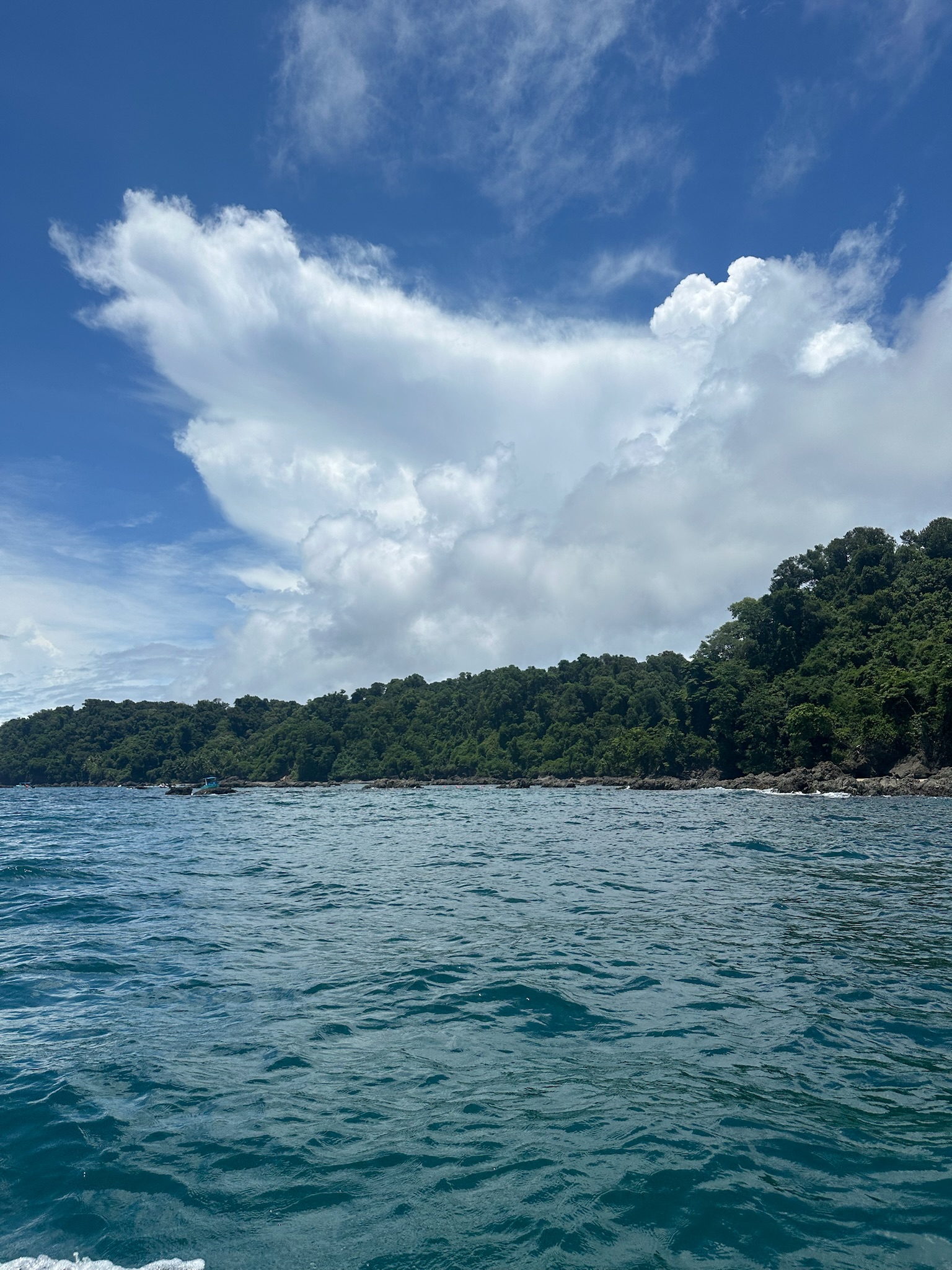 The Shofar | Parshat Beshalach: Trusting the Journey