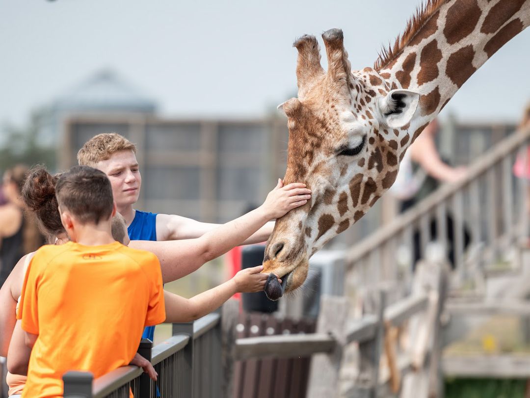 Safari Park | Safari Zoo | Family Outing | Brainerd | MN