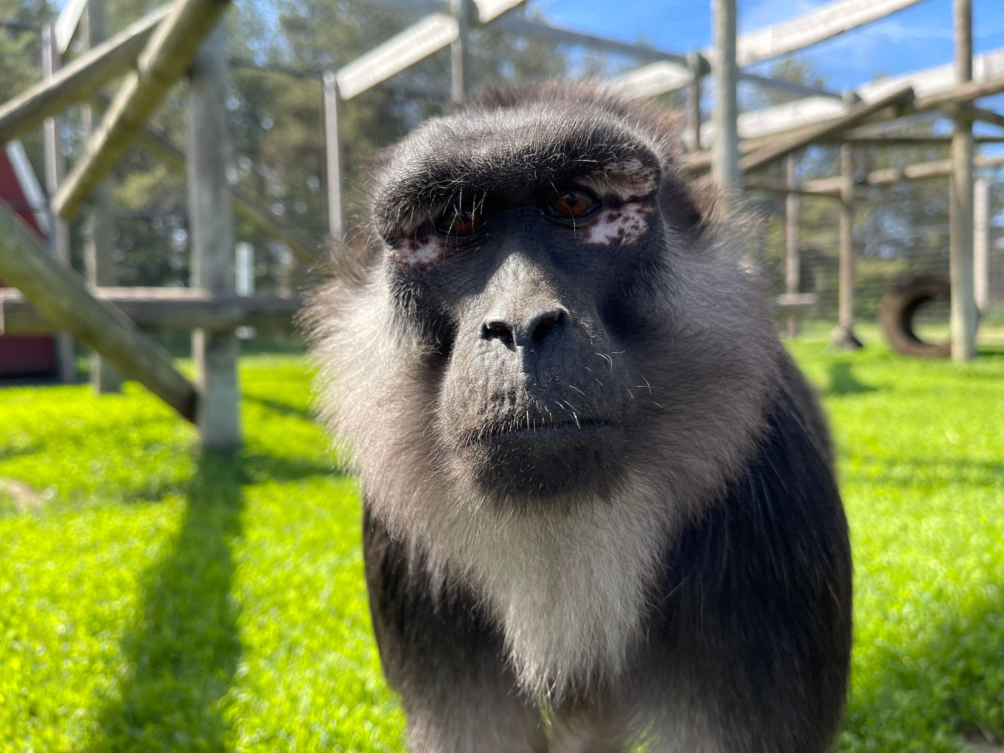 Safari Park | Safari Zoo | Family Outing | Brainerd | MN