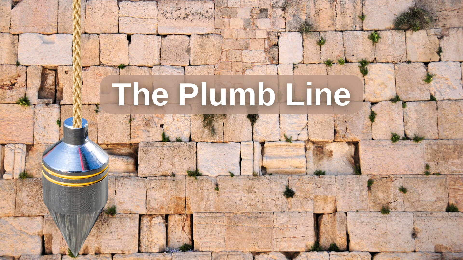 The Plumb Line