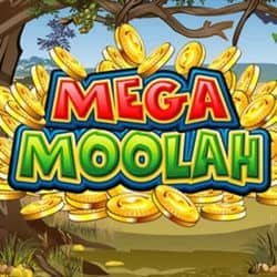 Microgaming Casino Slots Provider Review by AboutSlots