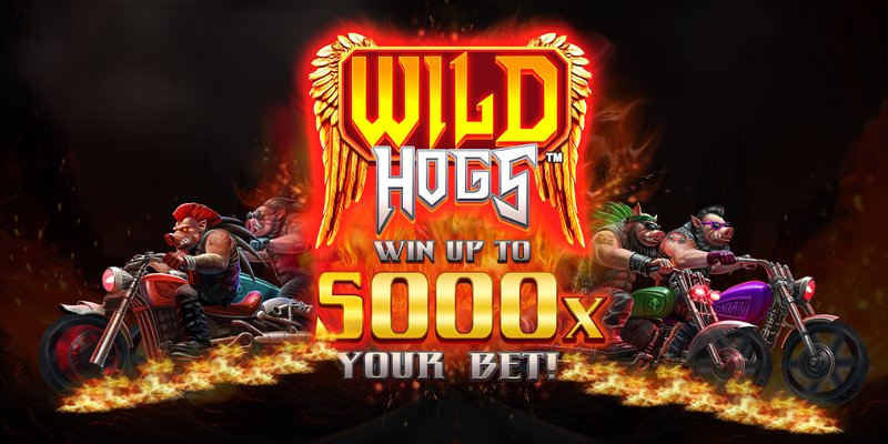 Wild Hogs (Stakelogic) Slot Review - 💎AboutSlots