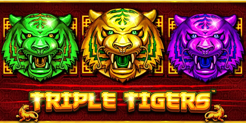 Triple Tigers (Pragmatic Play) Slot Review - 💎AboutSlots