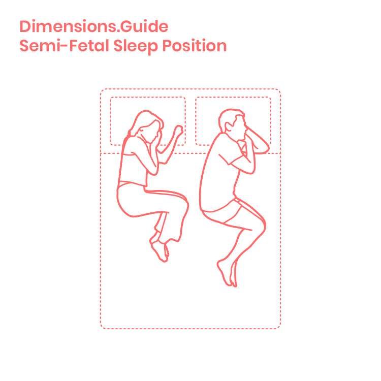 Semi-Fetal Sleep Position Dimensions & Drawings | Dimensions.com