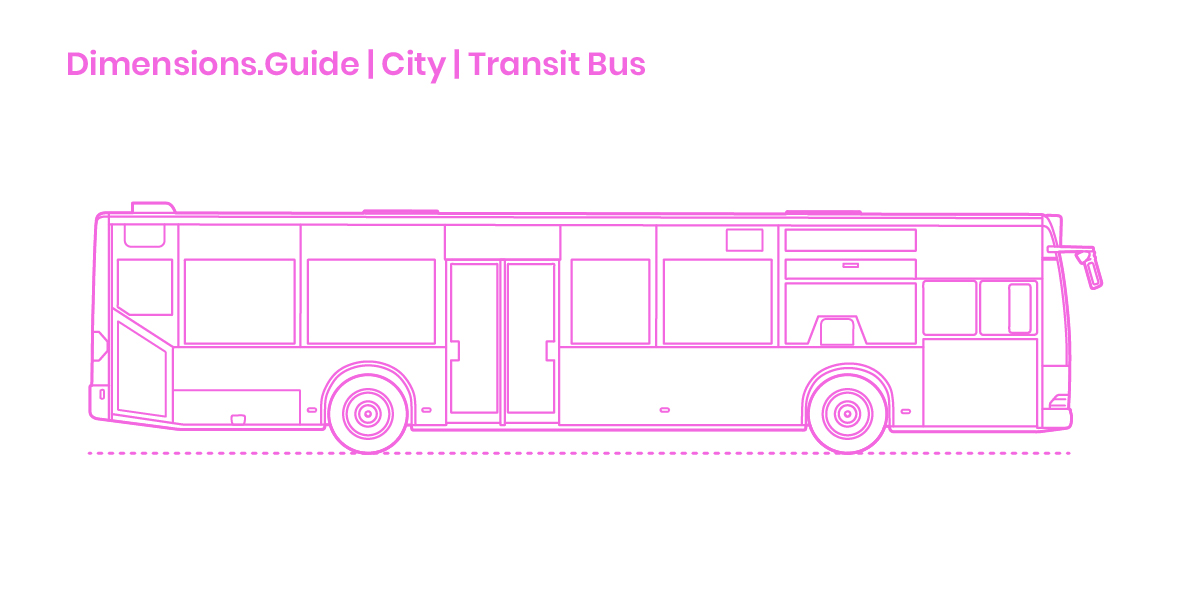 City | Transit Buses Dimensions & Drawings | Dimensions.com