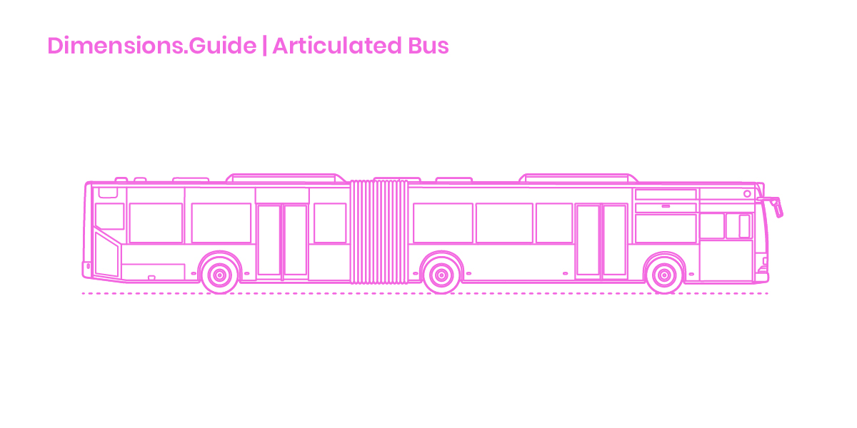 Articulated Buses Dimensions & Drawings | Dimensions.com
