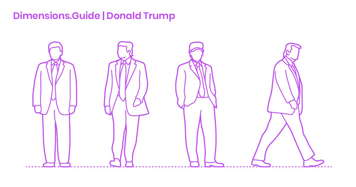 Donald Trump Dimensions & Drawings | Dimensions.com