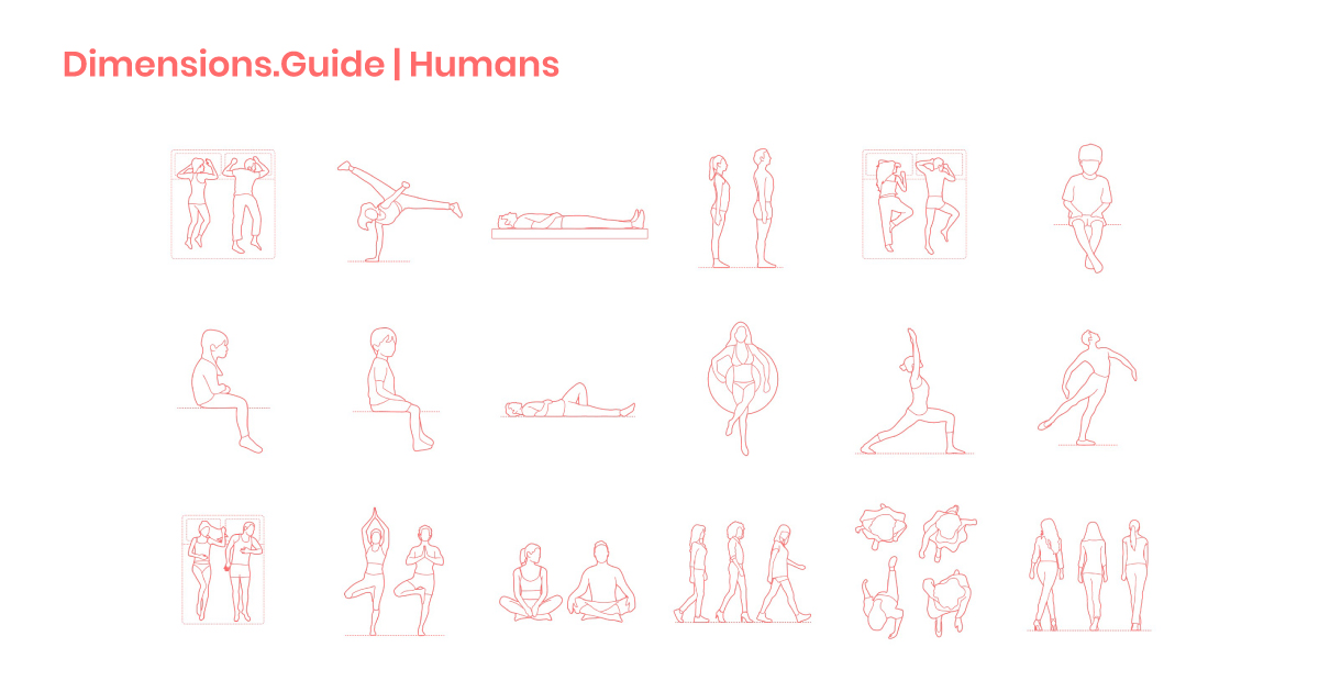Human Figure Dimensions