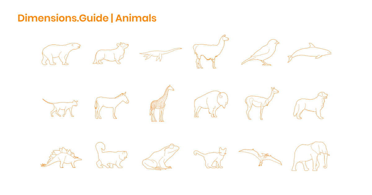 Animals Dimensions & Drawings | Dimensions.com