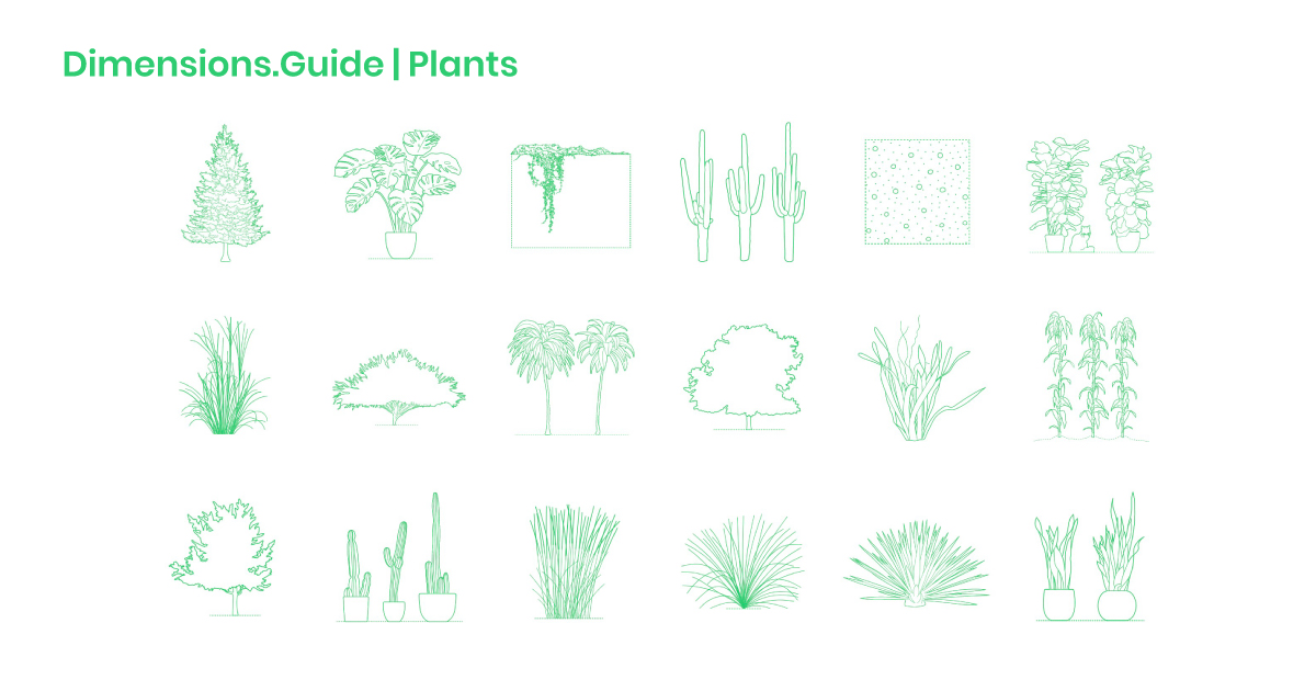 Plants Dimensions & Drawings | Dimensions.com