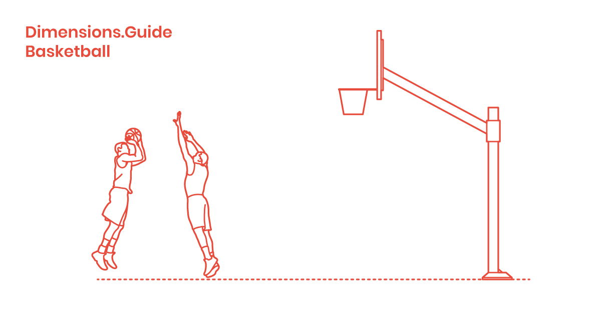 Basketball Dimensions & Drawings | Dimensions.com